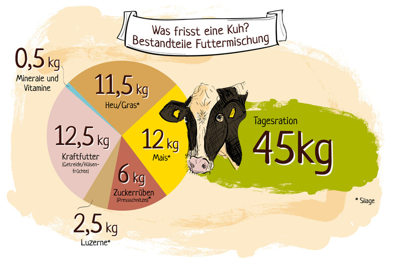 Vielfalt in der Rinderhaltung - Landwirtschaft - sachsen.de